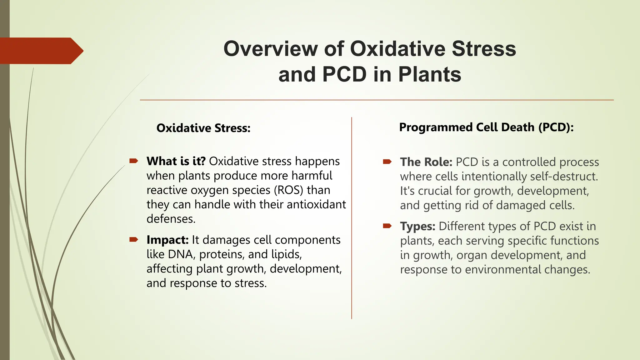 Oxidative stress and programmed cell death in plants.pptx