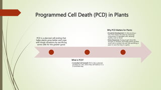 Oxidative stress and programmed cell death in plants.pptx