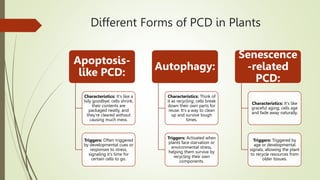 Oxidative stress and programmed cell death in plants.pptx