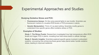 Oxidative stress and programmed cell death in plants.pptx