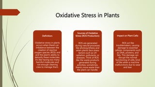 Oxidative stress and programmed cell death in plants.pptx