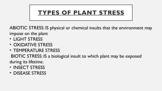 OXIDATIVE STRESS IN PLANTS .pptx