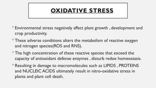 OXIDATIVE STRESS IN PLANTS .pptx