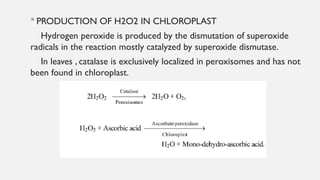 OXIDATIVE STRESS IN PLANTS .pptx