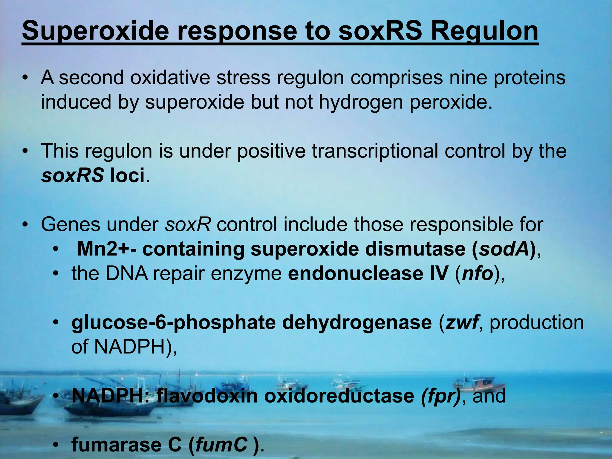 OXIDATIVE_STRESS_RESPONSE_mitochondria.ppt