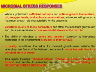 OXIDATIVE_STRESS_RESPONSE_mitochondria.ppt