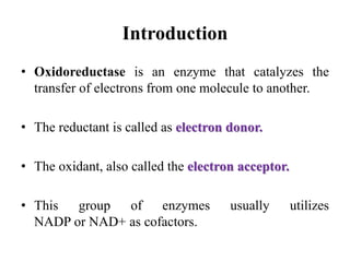 Oxidoreductase | PPTX | Chemistry | Science