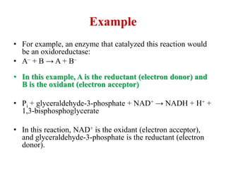 Oxidoreductase | PPTX | Chemistry | Science