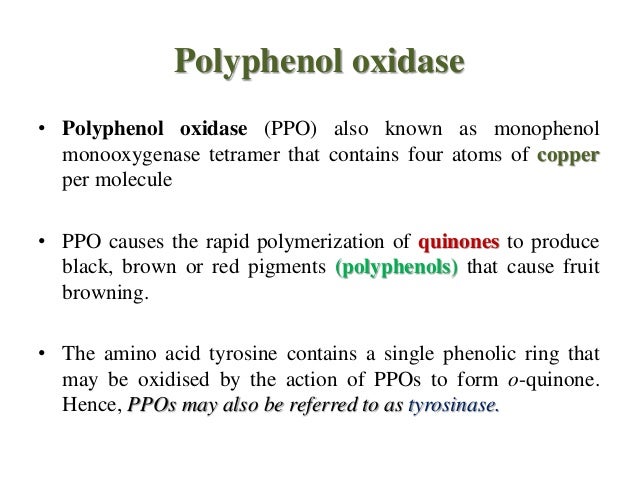 Oxidoreductase