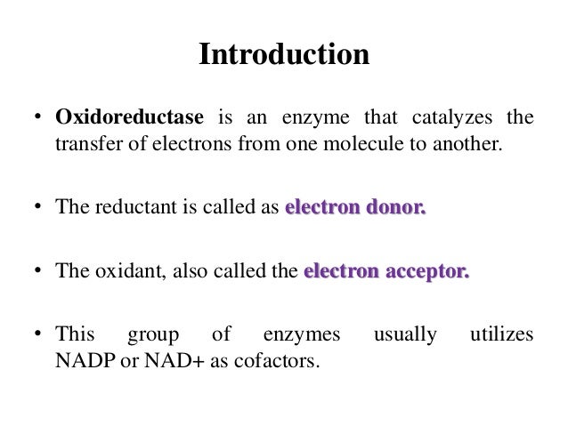 Oxidoreductase