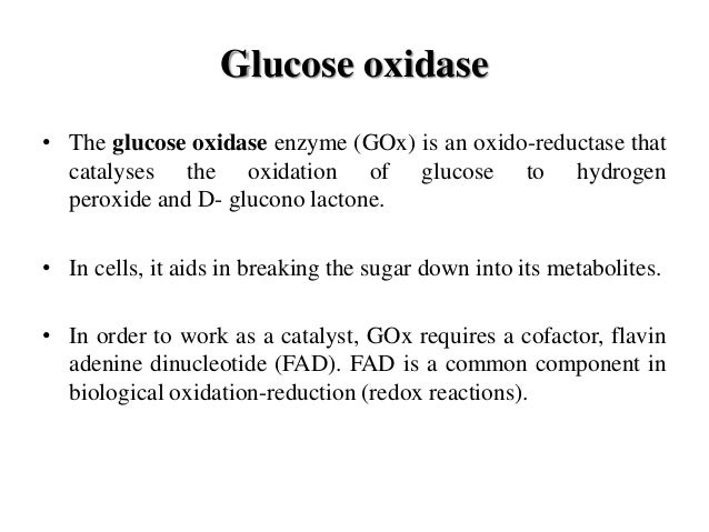 Oxidoreductase