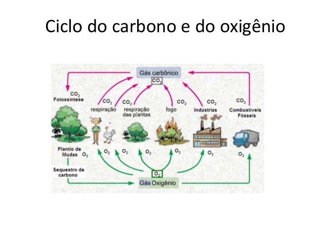 Oxigenio
