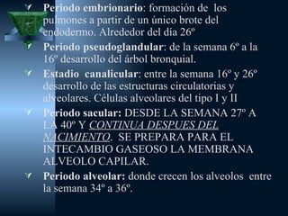 Oxigenoterapia | PPT
