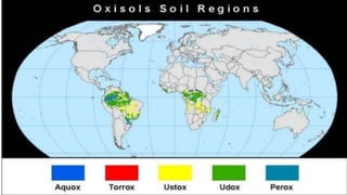 Oxisols | PPTX