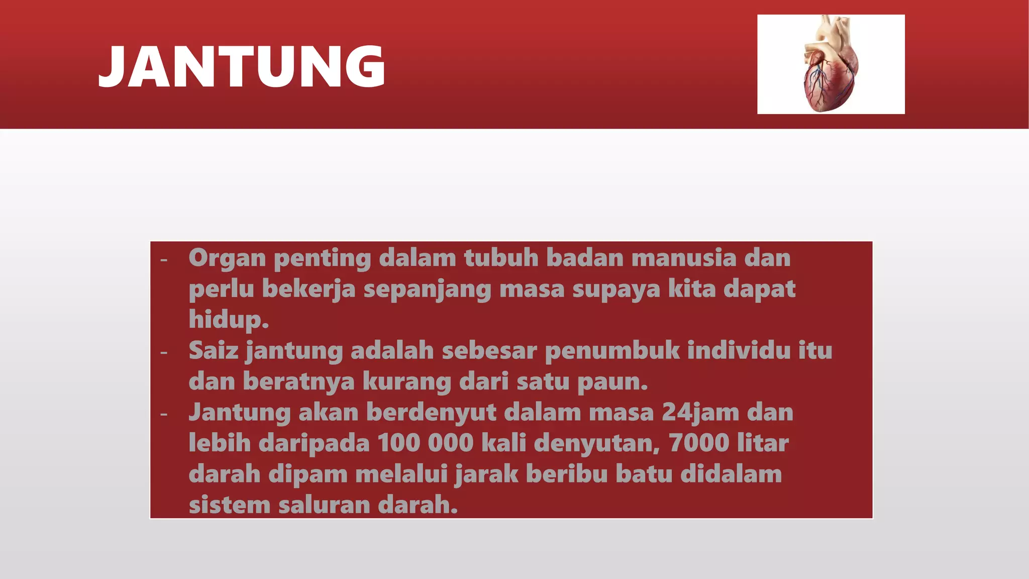 Sistem Kardiovaskular Jantung | PPTX