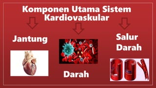 Sistem Kardiovaskular Jantung | PPTX