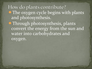Oxygen cycle | PPT