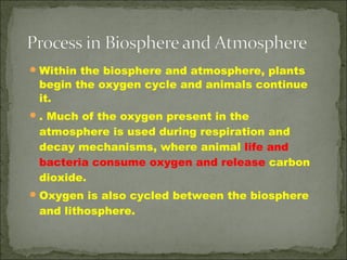 Oxygen cycle | PPT