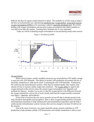 Oxygen consumption | PDF
