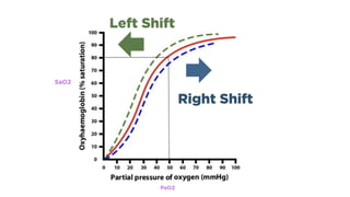 Oxygen-hemoglobin Dissociation Curve.pdf