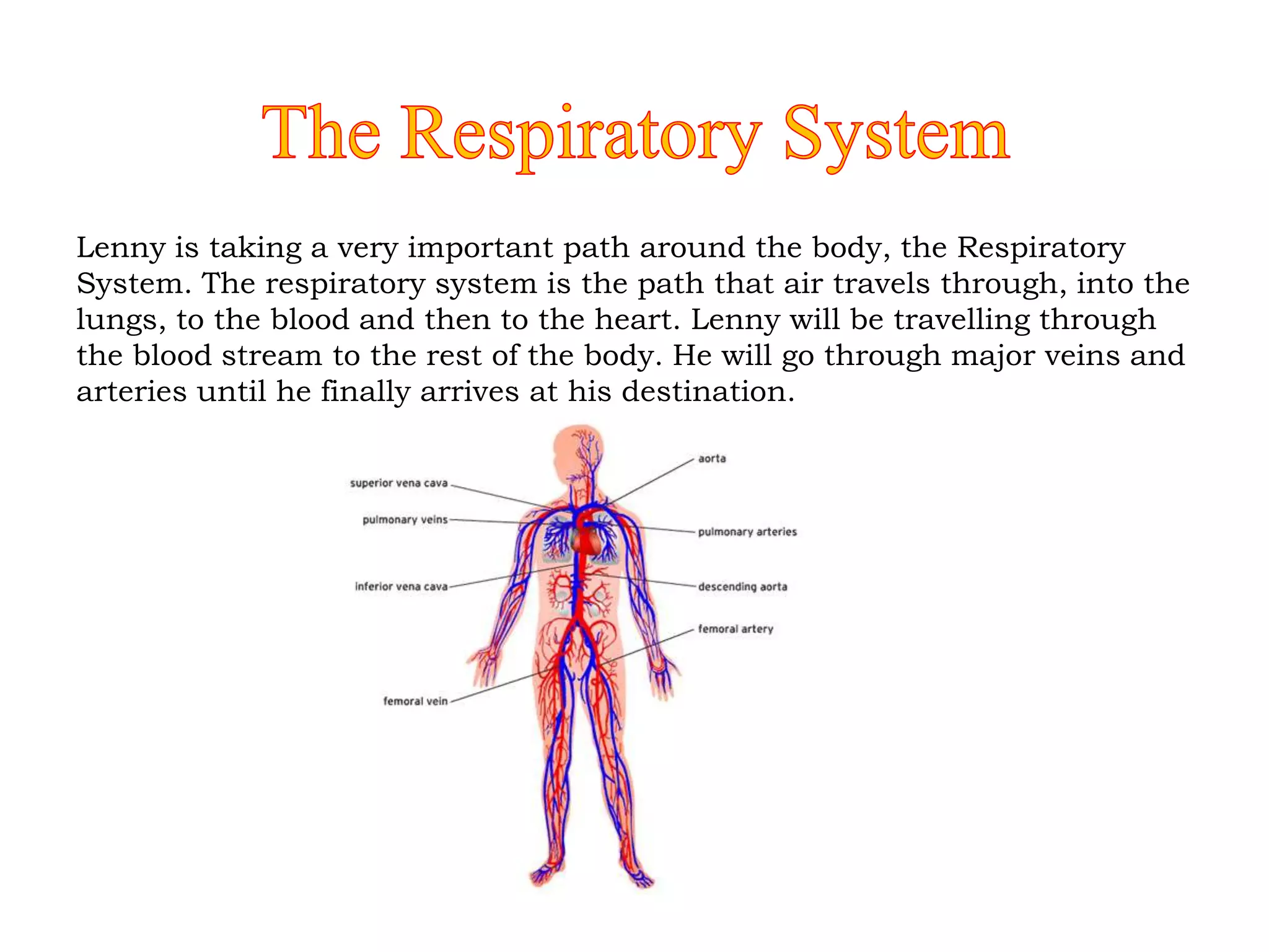 Oxygen through the Respiratory System | PPTX