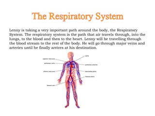 Oxygen through the Respiratory System | PPTX | Lung and Respiratory ...