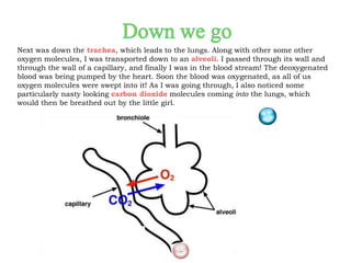 Oxygen through the Respiratory System | PPTX | Lung and Respiratory ...