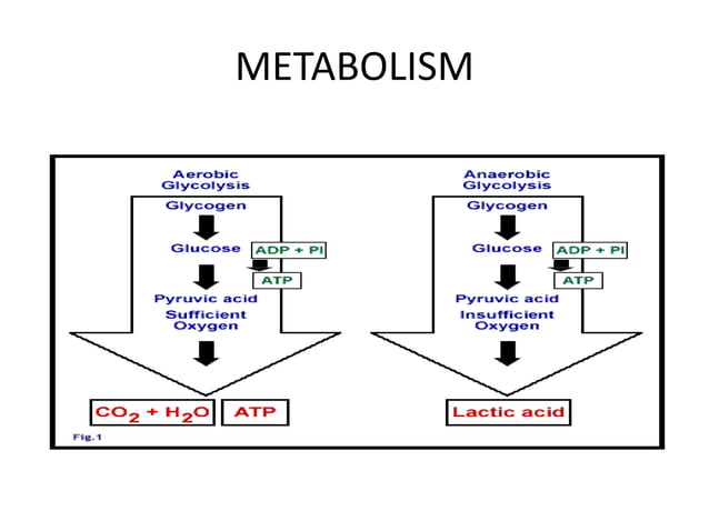 oxygen and associated gases (1).pptx