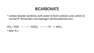 Oxygen and carbon dioxide transport | PPTX