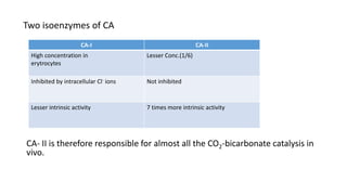 Oxygen and carbon dioxide transport | PPTX