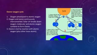 Oxygen and ozone chemistry.pdf | Indoor Environmental Quality | Home ...