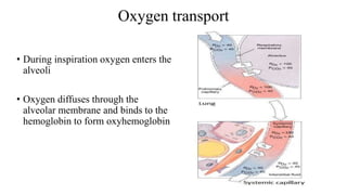Oxygenation | PPT