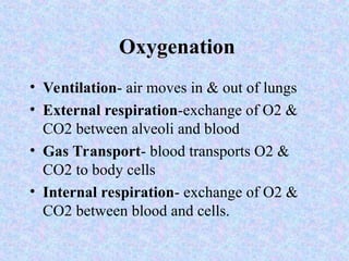 Basic Human Needs (Oxygenation ) in your life | PPT