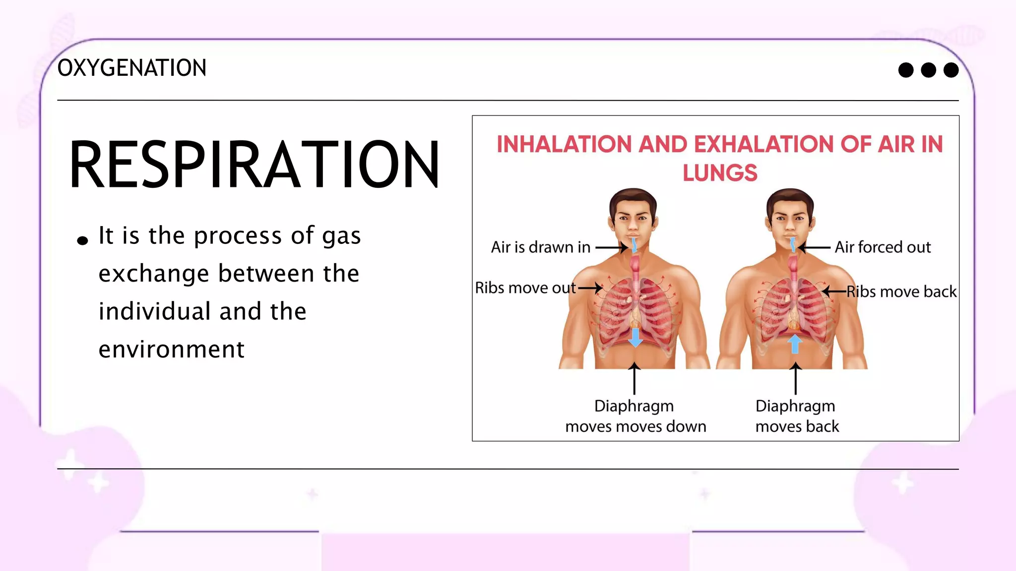 Oxygenation (1).pdf