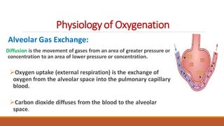 Oxygenation For health care providor.... | PDF