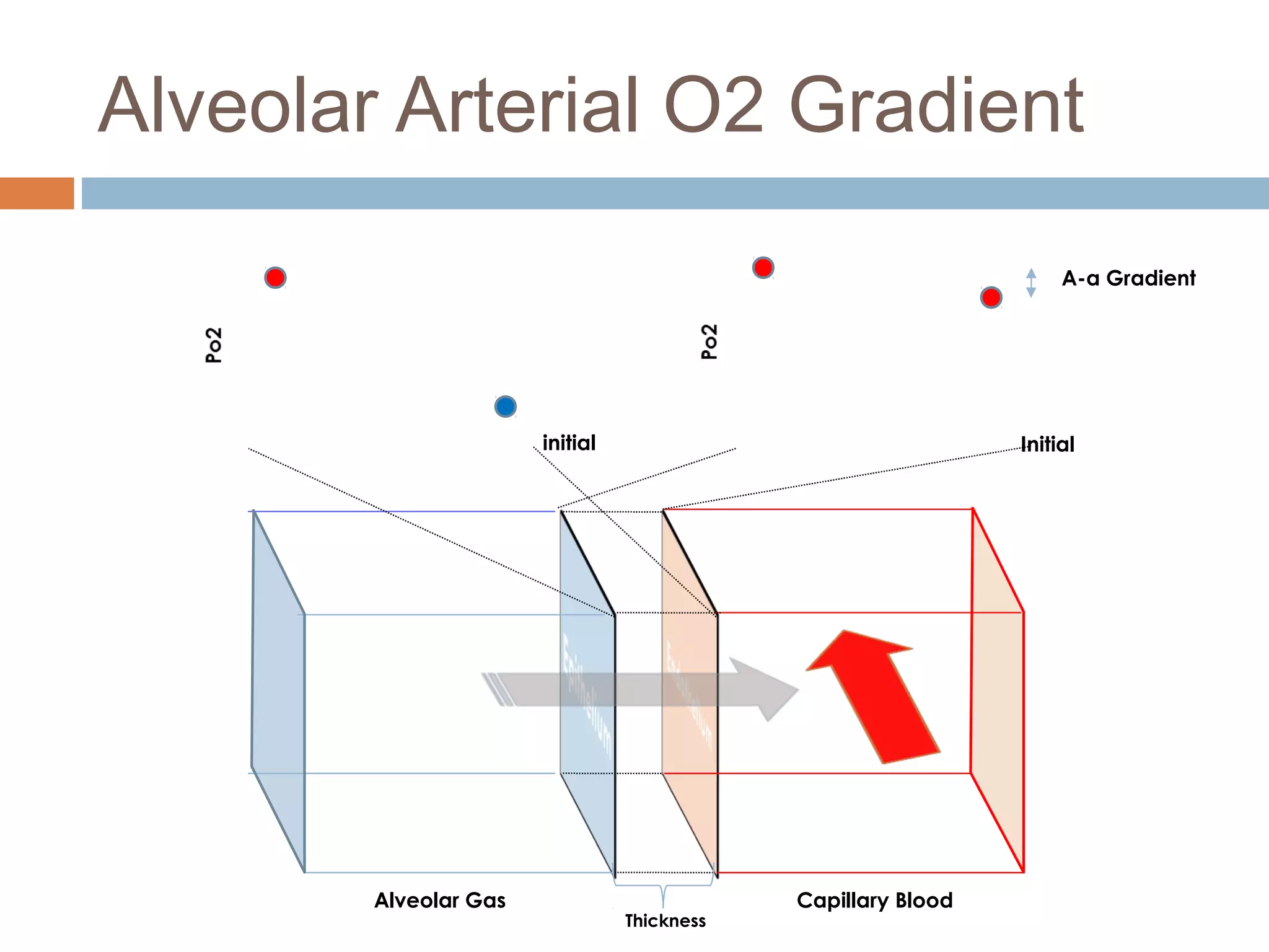 Oxygenation and ventilation monitoring | PPT | Lung and Respiratory ...