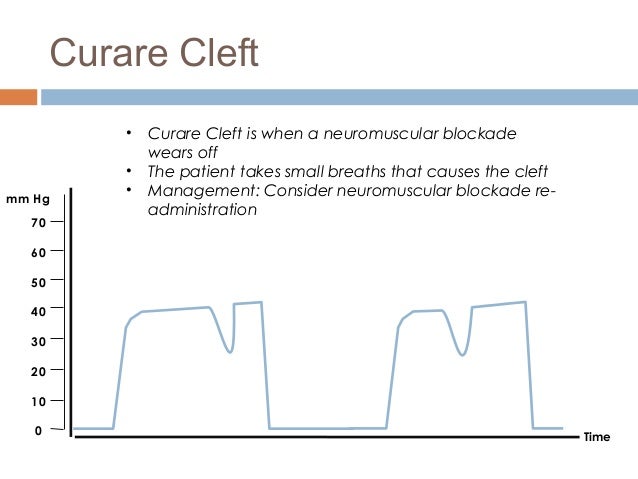 Oxygenation and ventilation monitoring