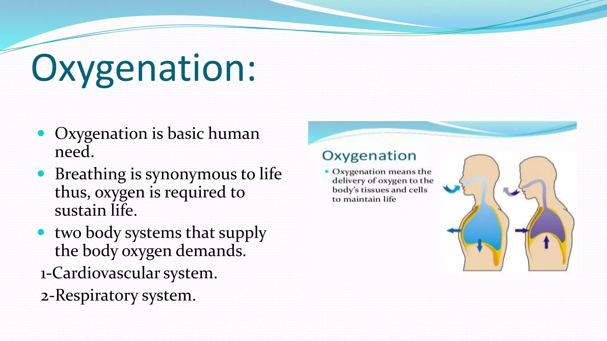 Oxygenation, respiratory function and cardiovascular system | PPTX