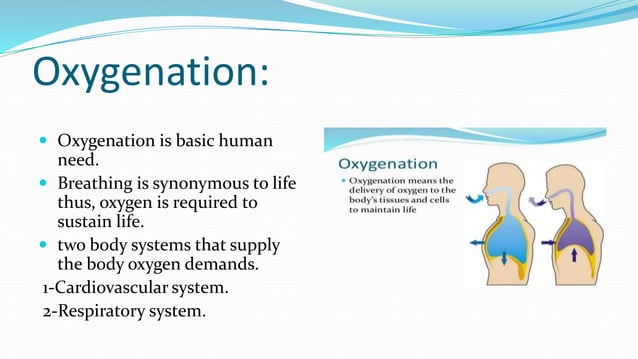 Oxygenation, respiratory function and cardiovascular system | PPTX | Lung and Respiratory Health ...