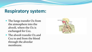 Oxygenation, respiratory function and cardiovascular system | PPTX