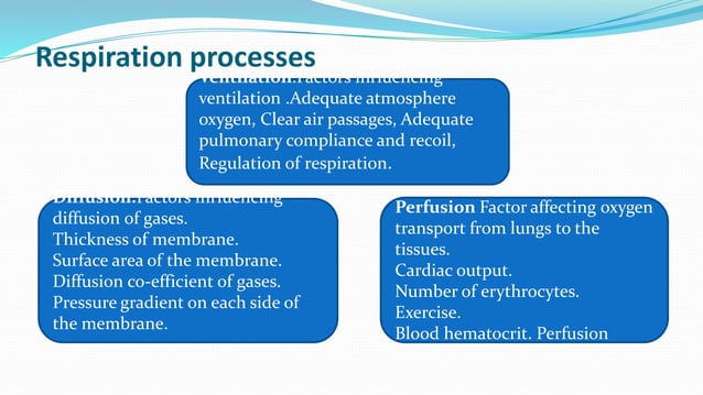 Oxygenation, respiratory function and cardiovascular system | PPTX | Lung and Respiratory Health ...