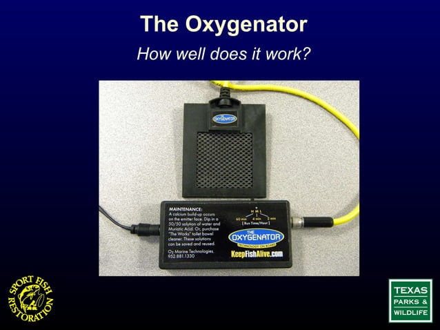 The Oxygenator, how effective is it? | PPT | Chemistry | Science