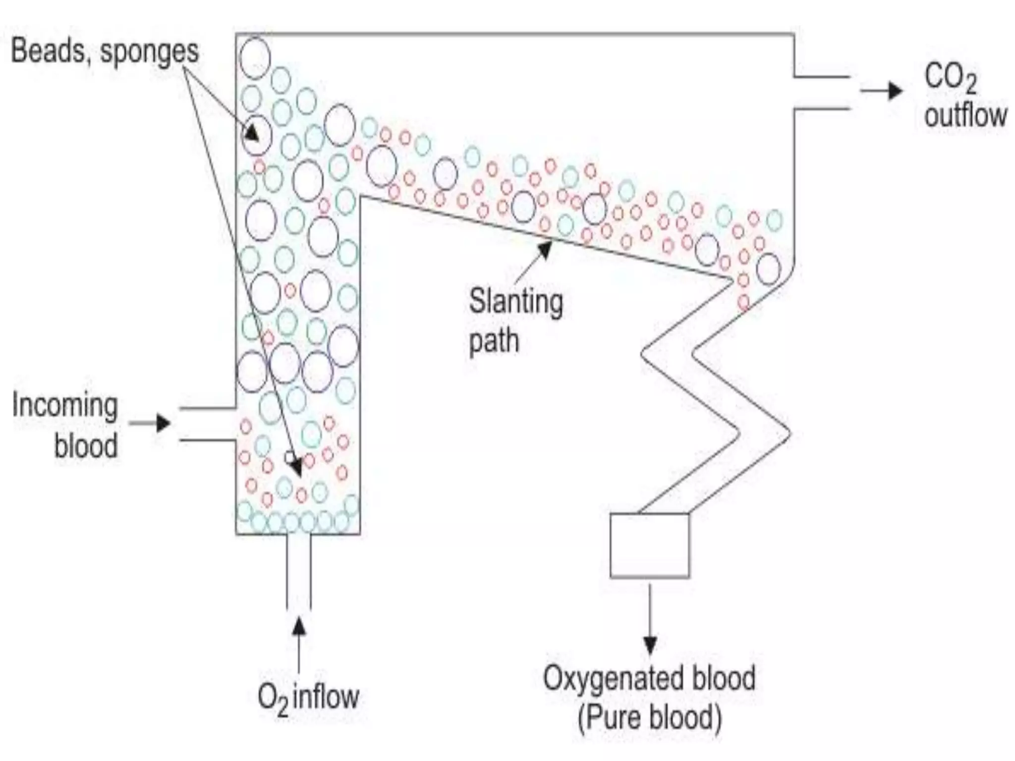 Oxygenators | PPTX