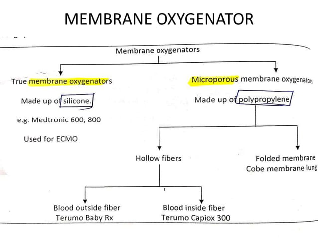 Oxygenators | PPTX | Lung and Respiratory Health | Diseases and Conditions