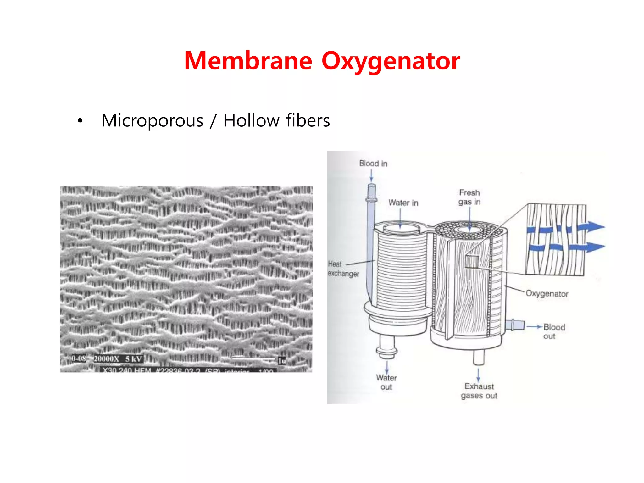 Oxygenators | PPT