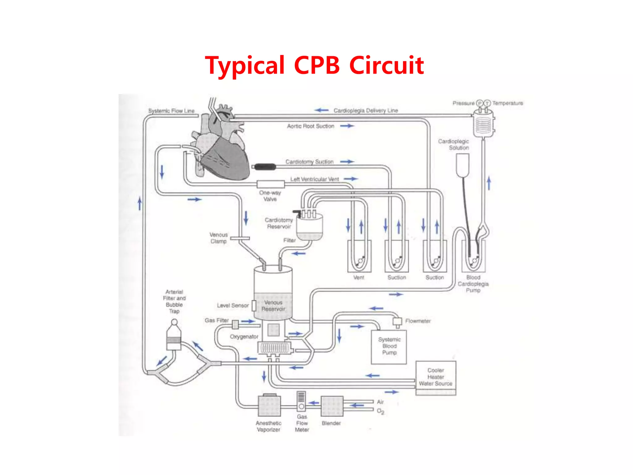 Oxygenators | PPT