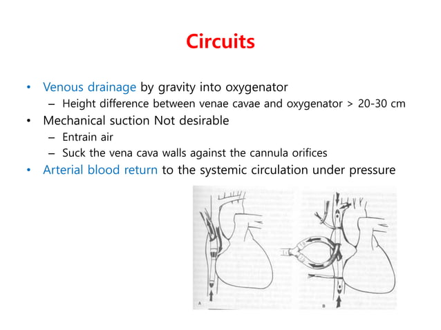 Oxygenators | PPT