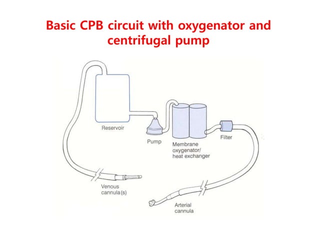 Oxygenators | PPT