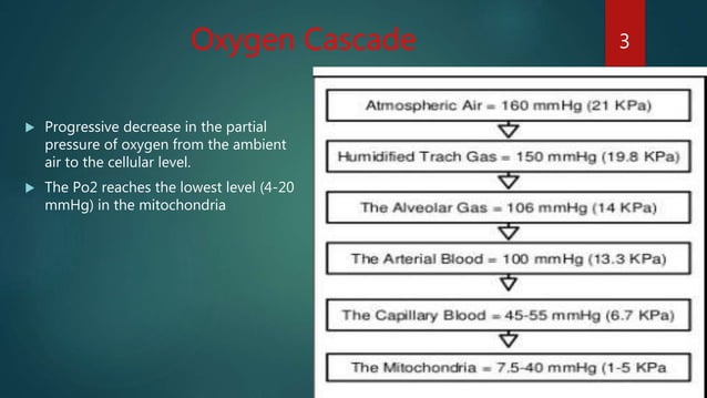 Oxygen cascade | PPT