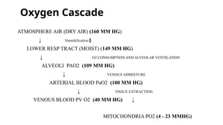 Oxygen Cascade_64f84b7f-50ac-4d71-b042-ec5a59e3670c.pptx